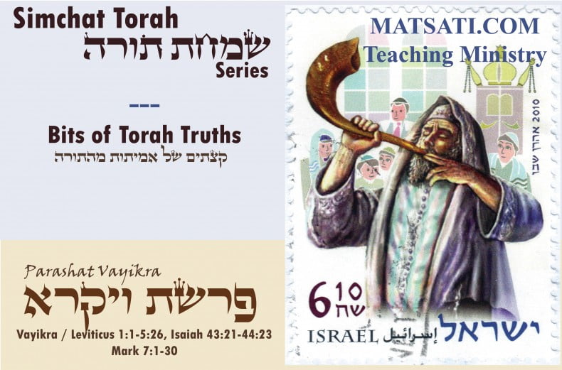 Bits Of Torah Truths, Parashat Vayikra, Sacrifices For The Glory Of God - MATSATI.COM Teaching ...