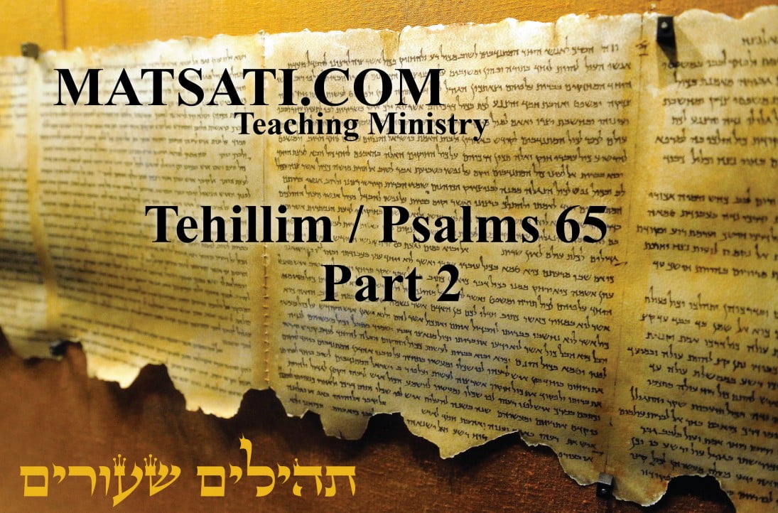Tehillim / Psalms 65, Part 2, The Covenant And Its Importance - MATSATI.COM Teaching Ministry