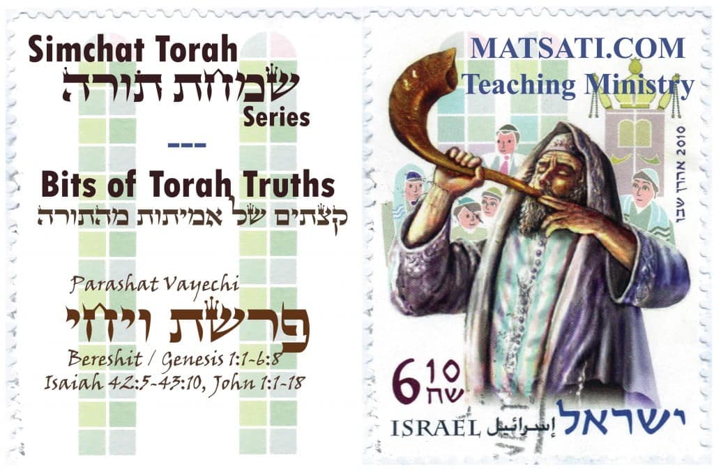 Bits Of Torah Truths, Parashat Vayechi, The Extra Portion Jacob Gave To ...