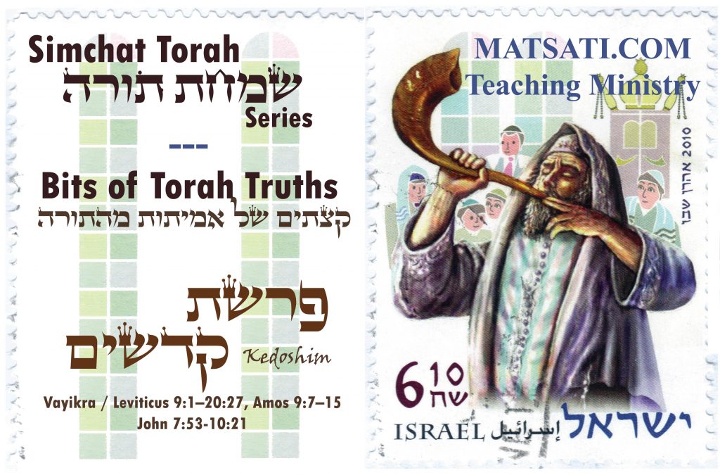 Bits Of Torah Truths, Parashat Kedoshim, פרשת קדשים , Holiness And Being Counted Worthy Of The ...