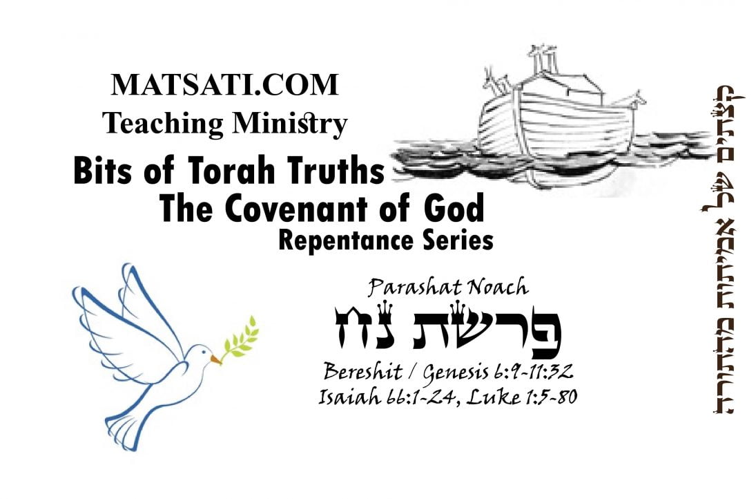 Bits Of Torah Truths, The Covenant - Repentance Series, Parashat Noach, פרשת נח, The Lord Cares ...