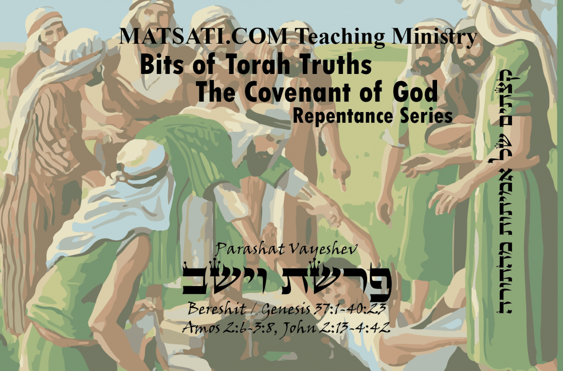 Bits Of Torah Truths, Parashat Vayeshev, פרשת וישב, What Are You Looking For? (מַה-תְּבַקֵּשׁ ...