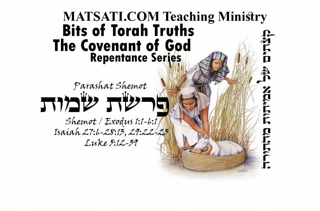 Bits Of Torah Truths, Parashat Shemot, פרשת שמות, The Pretense Of Halfheartedness - MATSATI.COM ...