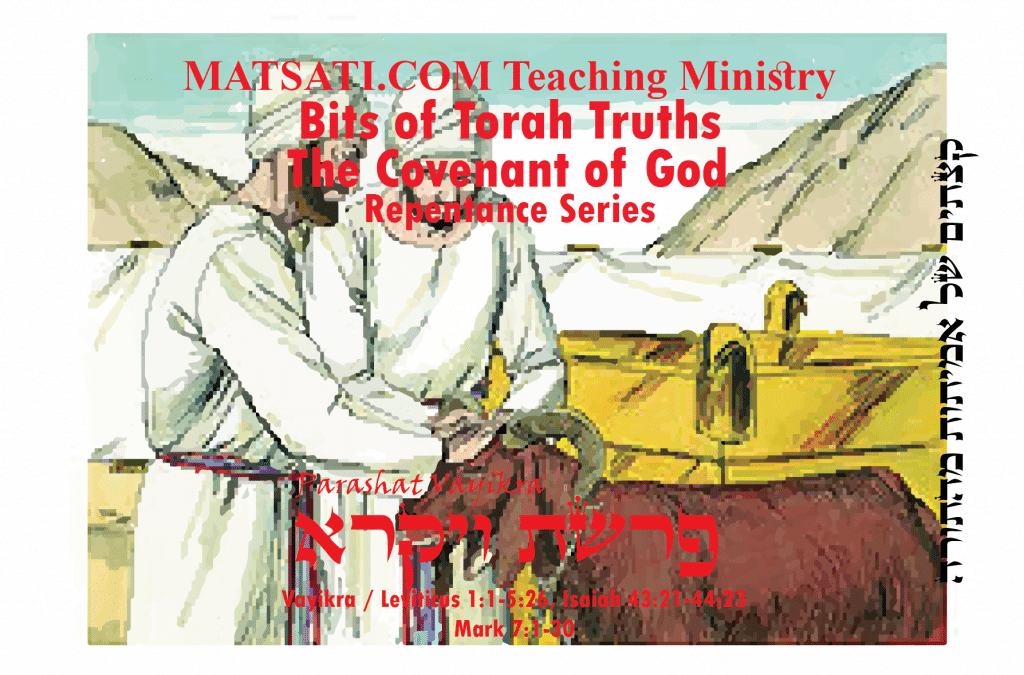 Bits Of Torah Truths, Parashat Vayikra, פרשת ויקרא, The Torah Is The Outcome Of The Gospel ...