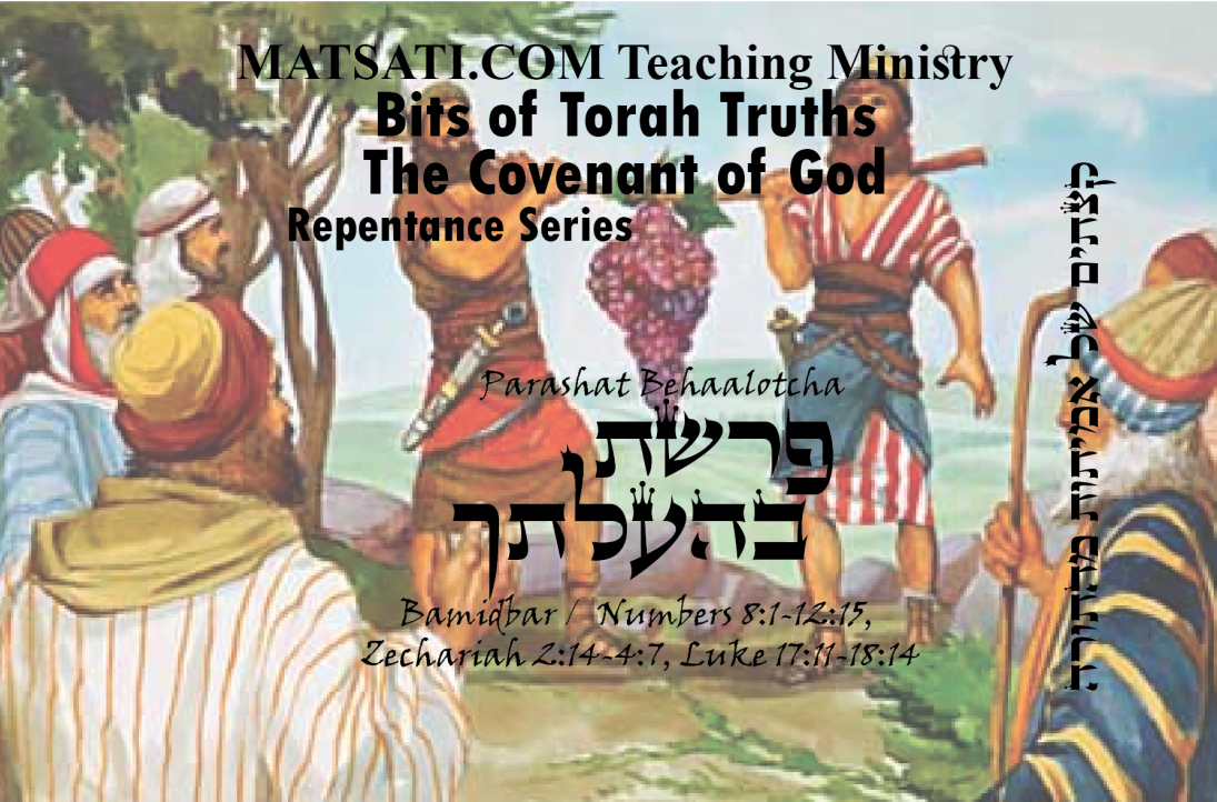 Bits Of Torah Truths, Parashat Shelach Lecha, פרשת שלח לך, What Is Going On In The Lives Of God ...