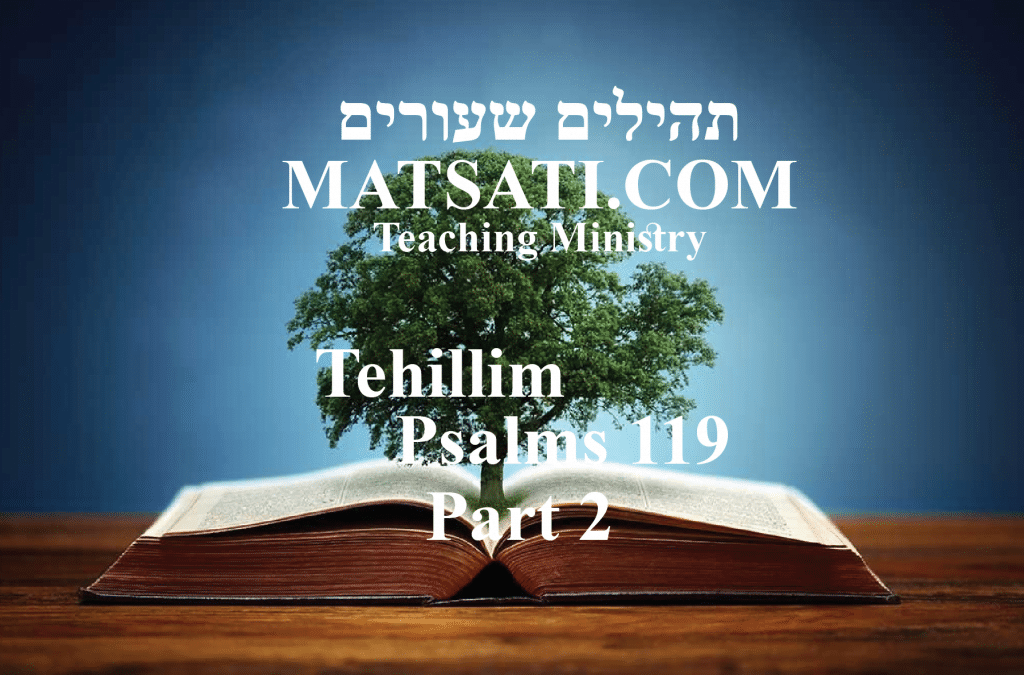 Tehillim / Psalms 119, ספר תהילים קיט, Part 2, Do We Believe in Something that is Contrary to ...