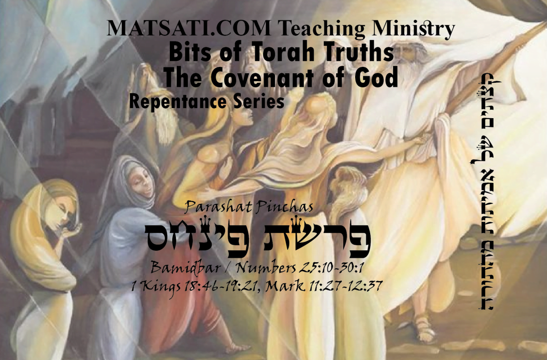 Bits Of Torah Truths, פרשת פינחס, Parashat Pinchas, The Message From The Daughters Of Zelophehad ...