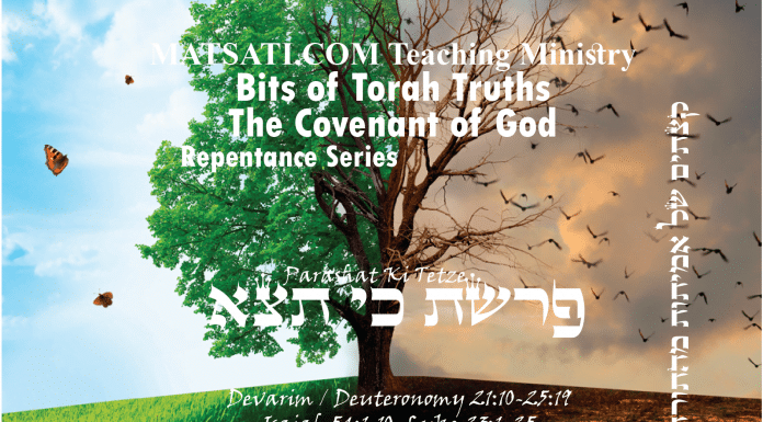 Watch – Dr.Duane D. Miller – LIVE – Sacrifice and the Cross in the Torah, פרשת כי תצא, Parashat ...