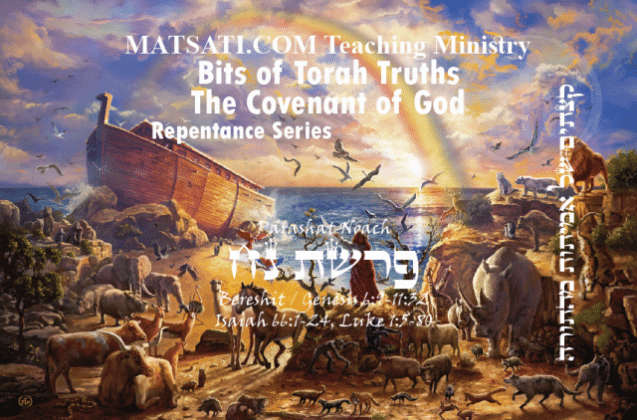 Bits Of Torah Truths, Parashat Noach, פרשת נח, The Lord’s Covenant For Those Who Draw Near ...
