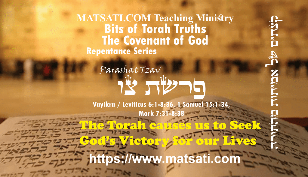 Bits of Torah Truths, פרשת צו, Parashat Tzav, The Torah causes us to Seek God’s Victory for our ...