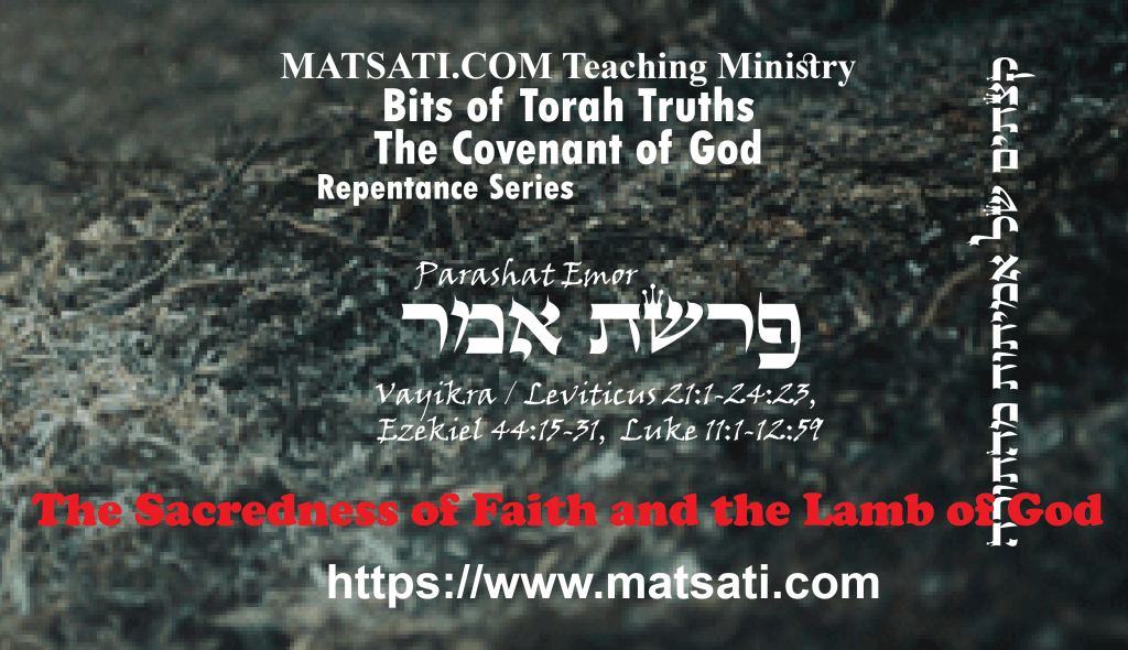 Bits Of Torah Truths, פרשת אמר, Parashat Emor, The Sacredness Of Faith And The Lamb Of God ...