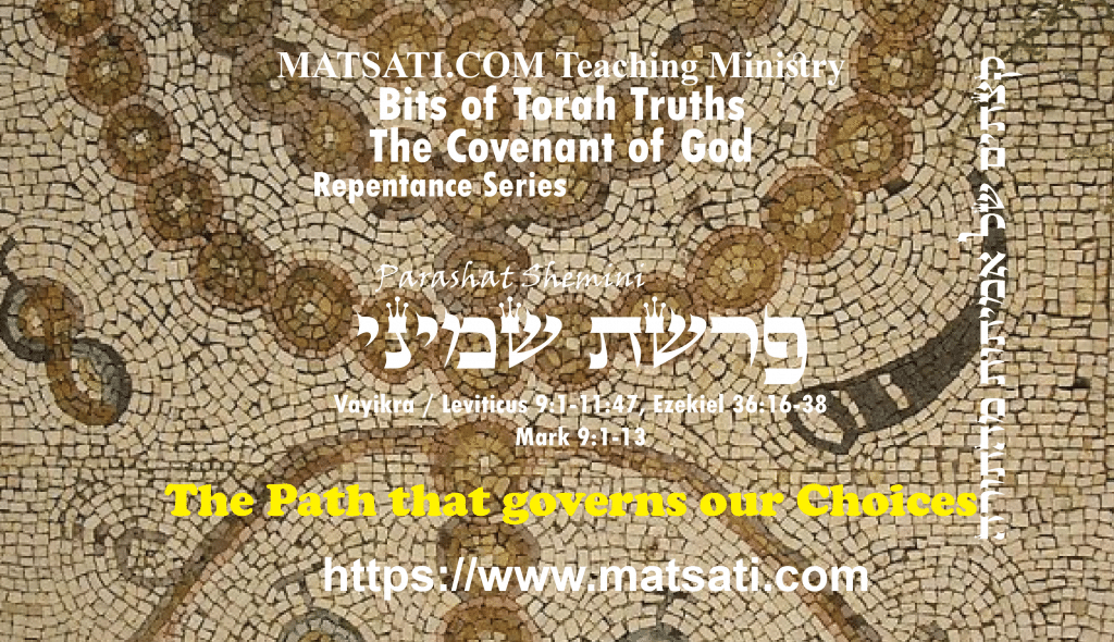 Bits Of Torah Truths, פרשת שמיני, Parashat Shemini, The Path That ...