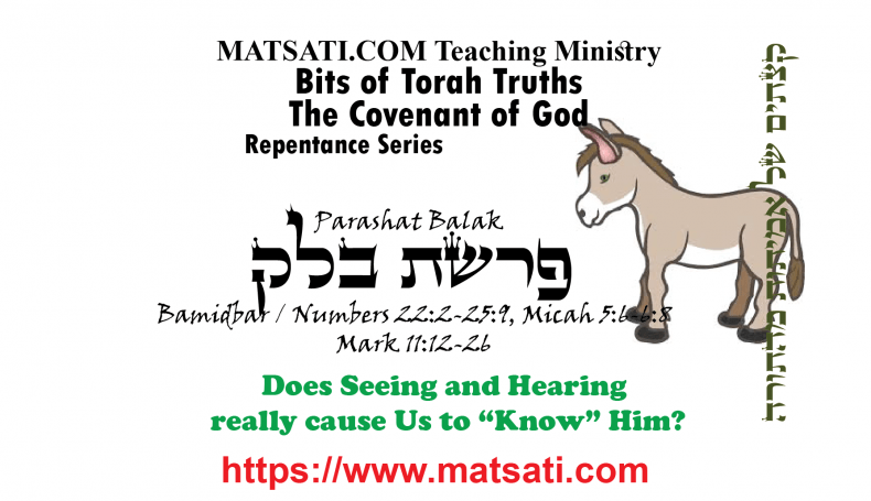 Bits Of Torah Truths, Parashat Balak, The Importance Of Prayer - MATSATI.COM Teaching Ministry