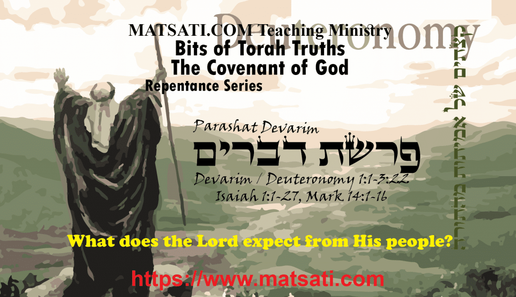 Bits Of Torah Truths, פרשת דברים, Parashat Devarim, What Does The Lord Expect From His People ...