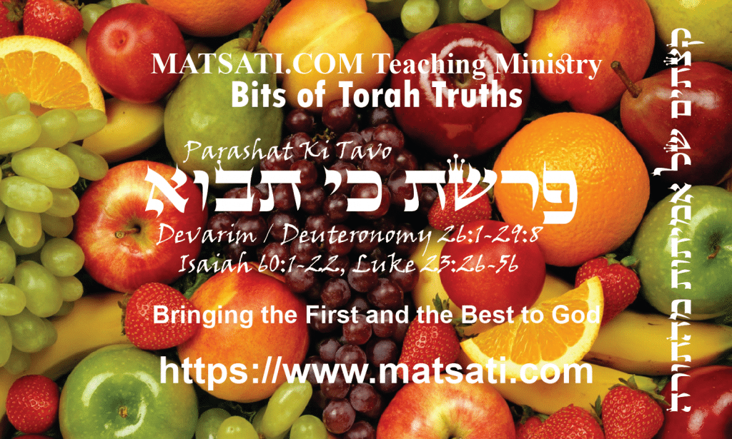 Bits Of Torah Truths, Parashat Ki Tavo, כִּי-תָבוֹא, Bringing The First And The Best To God ...