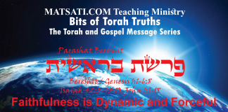 Torah - MATSATI.COM Teaching Ministry