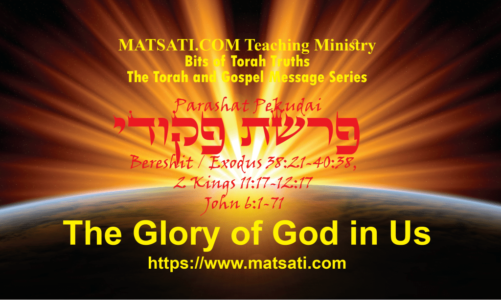 The Glory Of God In Us, פרשת פקודי, Parashat Pekudei, Bits Of Torah ...