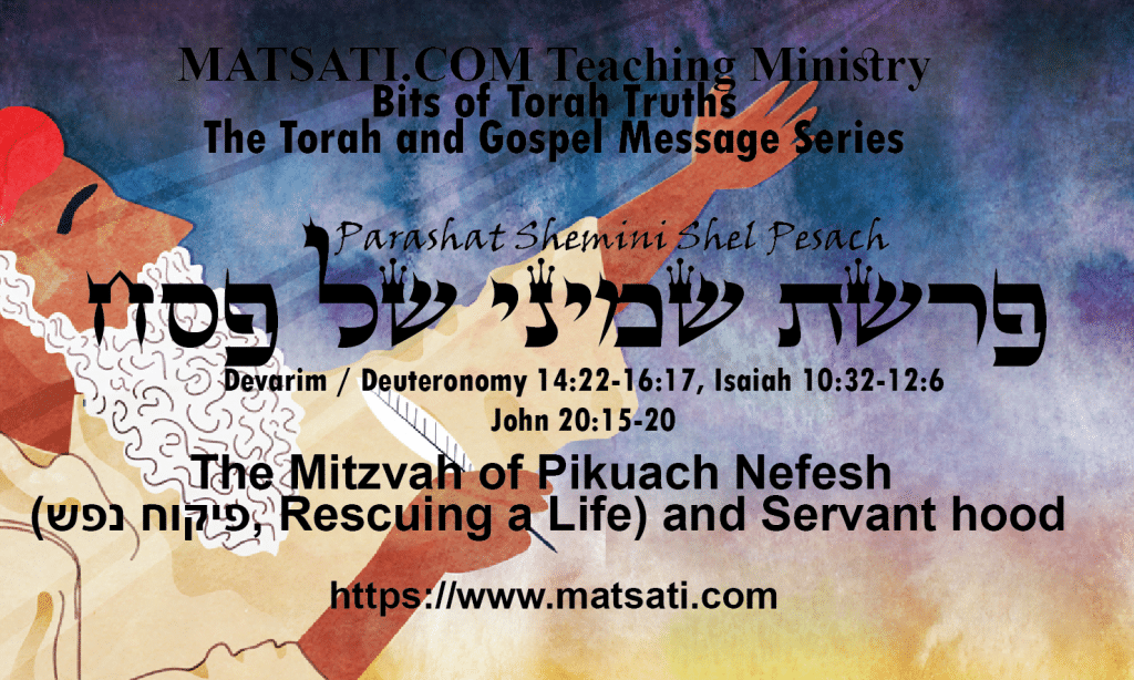 The Mitzvah Of Pikuach Nefesh (פיקוח נפש, Rescuing A Life) And Servant Hood, פרשת שמיני של פסח ...