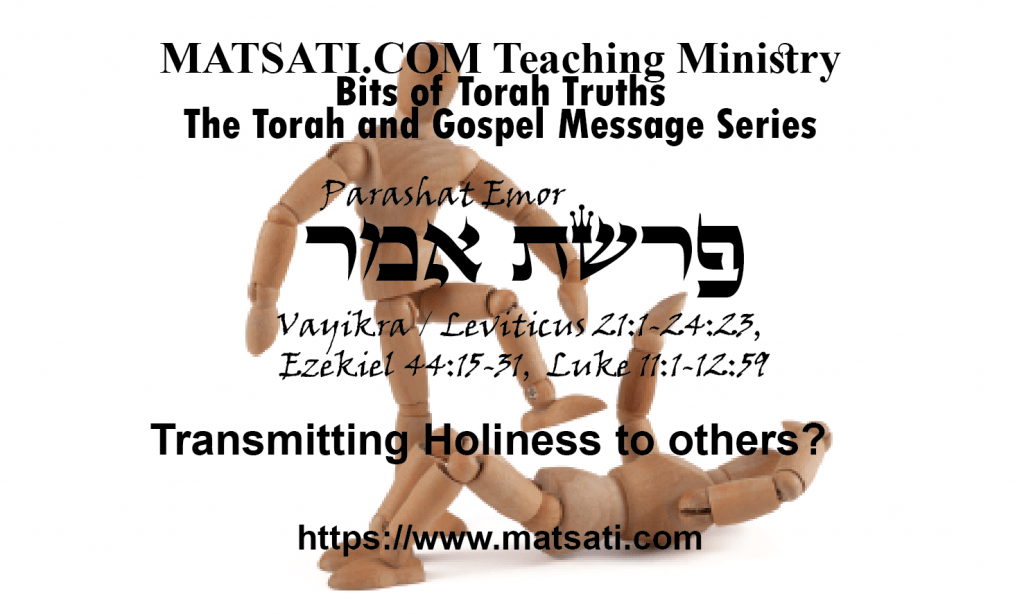 Transmitting Holiness To Others? פרשת אמר, Parashat Emor, Bits Of Torah Truths - MATSATI.COM ...