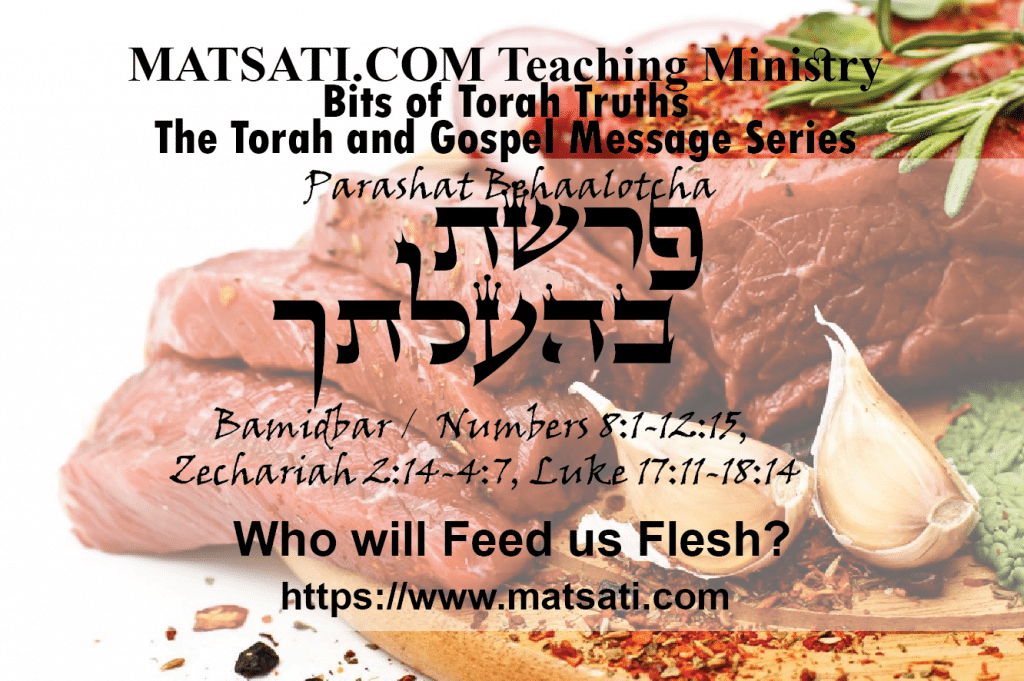 Who Will Feed Us Flesh? פרשת בהעלתך, Parashat Behaalotcha, Bits Of Torah Truths - MATSATI.COM ...
