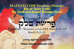 Living Against God’s Will, פרשת בלק, Parashat Balak, Bits Of Torah ...