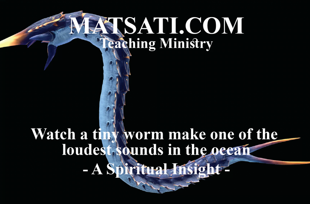 Watch A Tiny Worm Make One Of The Loudest Sounds In The Ocean - A ...