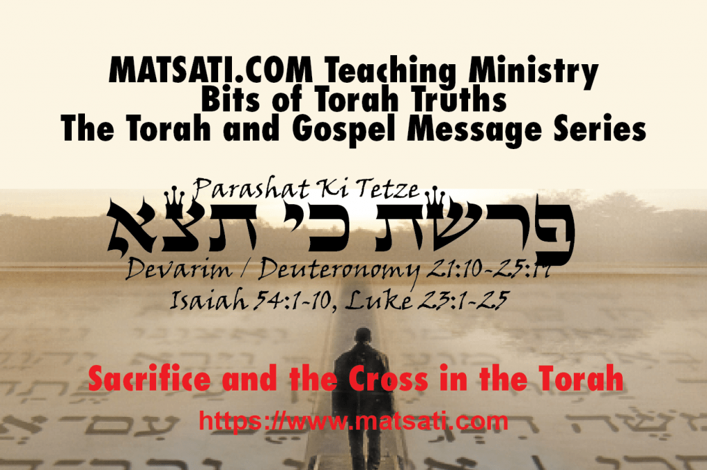 Sacrifice And The Cross In The Torah, פרשת כי תצא, Parashat Ki Tetze, Bits Of Torah Truths ...