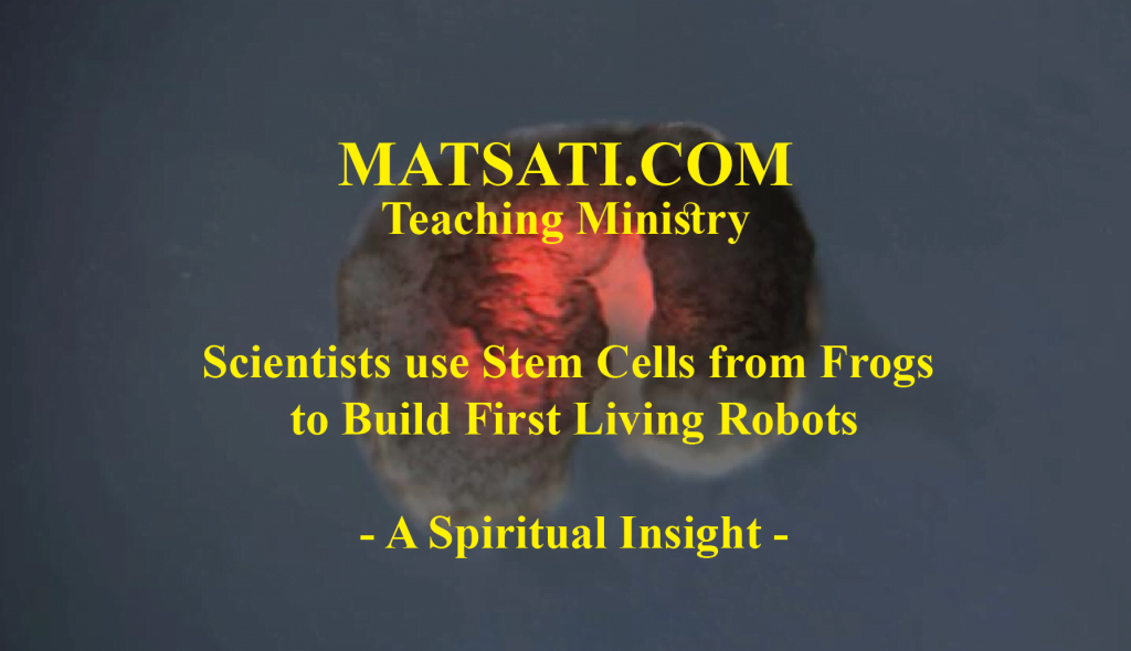Scientists Use Stem Cells From Frogs To Build First Living Robots - A Spiritual Insight ...