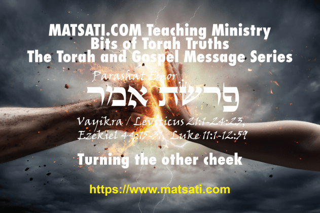 Turning The Other Cheek, אמר פרשת, Parashat Emor, Bits Of Torah Truths - MATSATI.COM Teaching ...