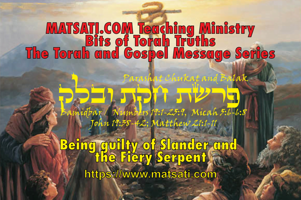 Being Guilty Of Slander And The Fiery Serpent, בלק חקת פרשת, Parshiot ...