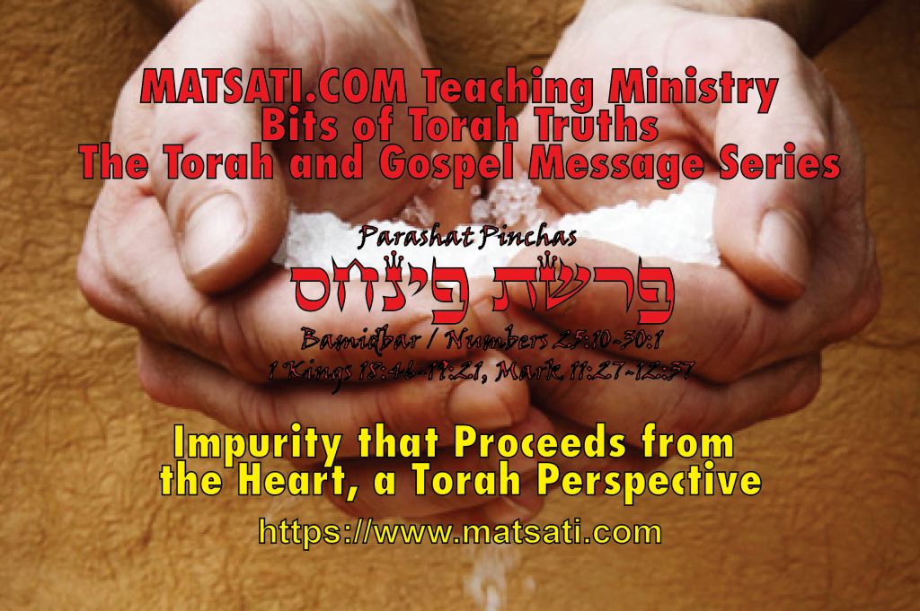 Impurity That Proceeds From The Heart, A Torah Perspective, פרשת פינחס, Parashat Pinchas, Bits ...