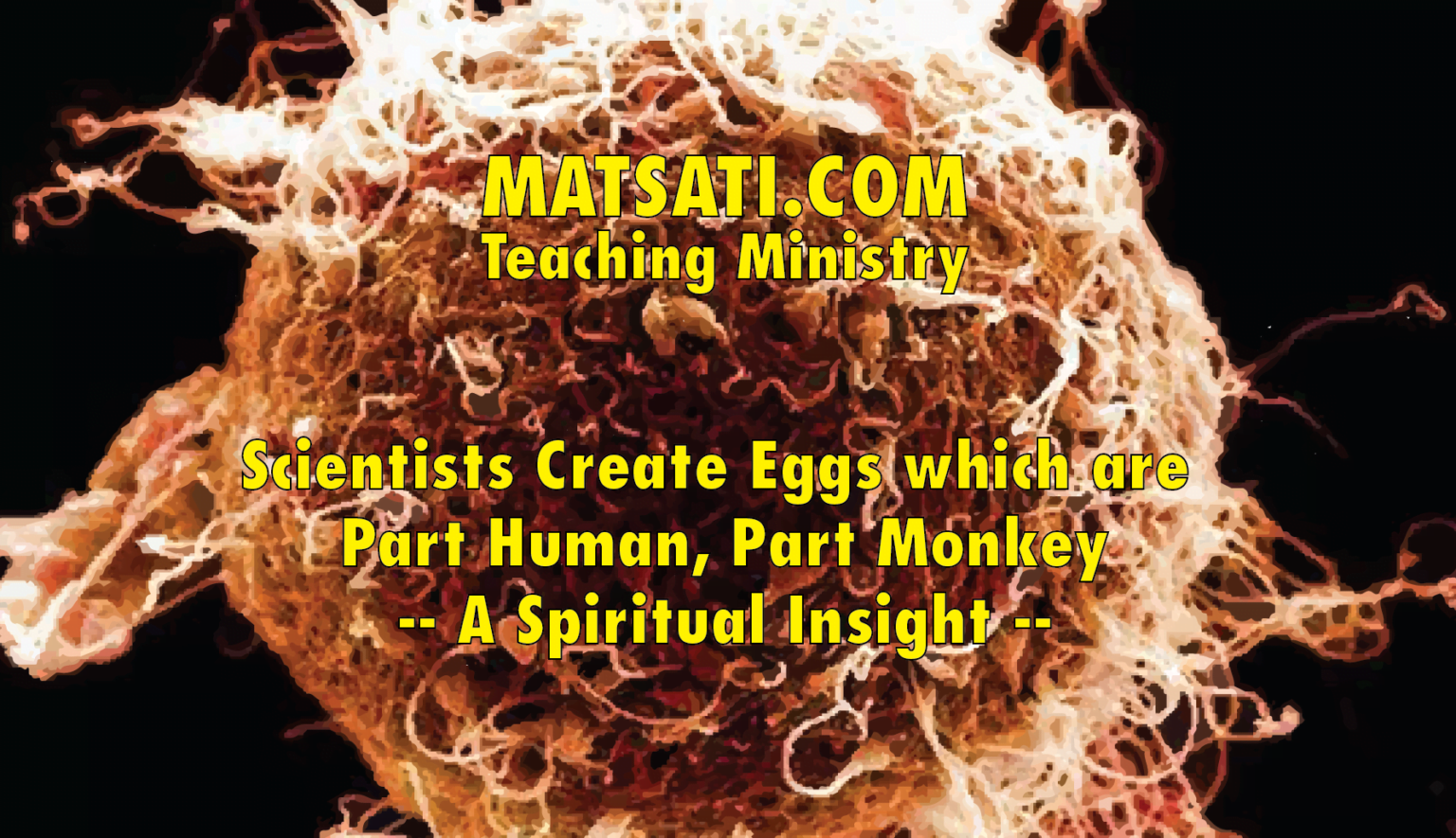 Scientists Create Eggs Which Are Part Human, Part Monkey - A Spiritual ...