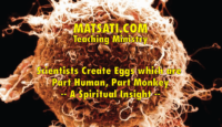 Scientists Create Eggs Which Are Part Human, Part Monkey - A Spiritual ...