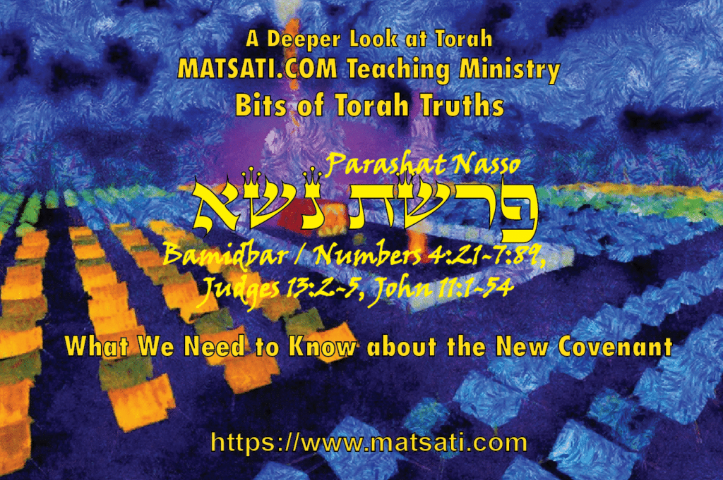 What We Need To Know About The New Covenant, פרשת נשא, Parashat Naso, Bits Of Torah Truths ...