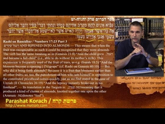 Watch Dr. Duane D. Miller PhD - LIVE - Discuss How People Today Reject The Authority Of Moshe ...