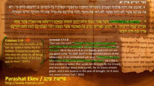 Having A Zeal For Torah That Is Nothing More Than Trusting In The Flesh, פרשת עקב, Parashat Ekev ...