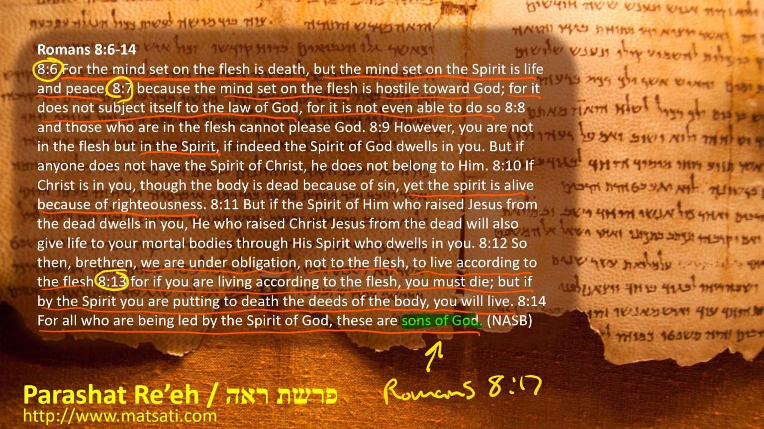 Our Highest Calling Is To Be The Sons Of God! פרשת ראה, Parashat Re’eh, Bits Of Torah Truths ...