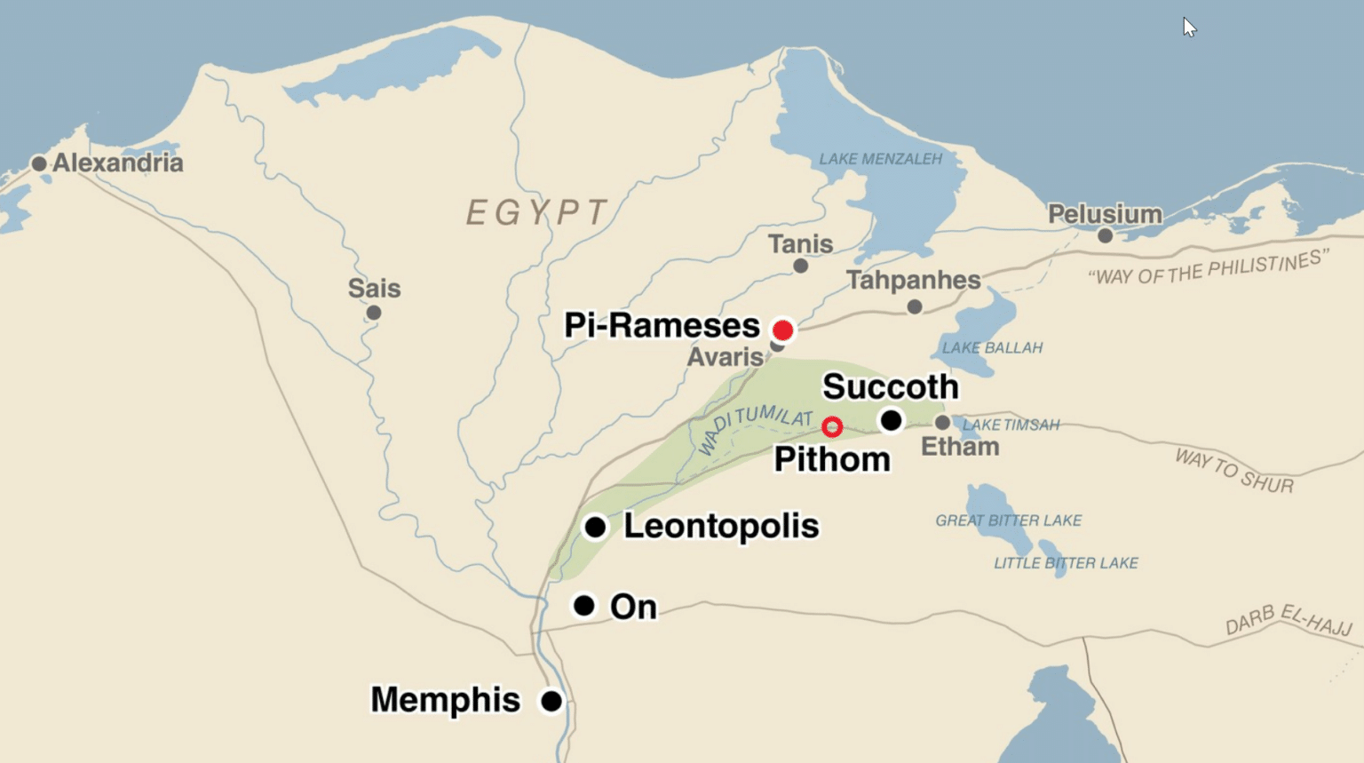 They Believed Their Rebellion Was Scientifically Sound And Common Sense ...